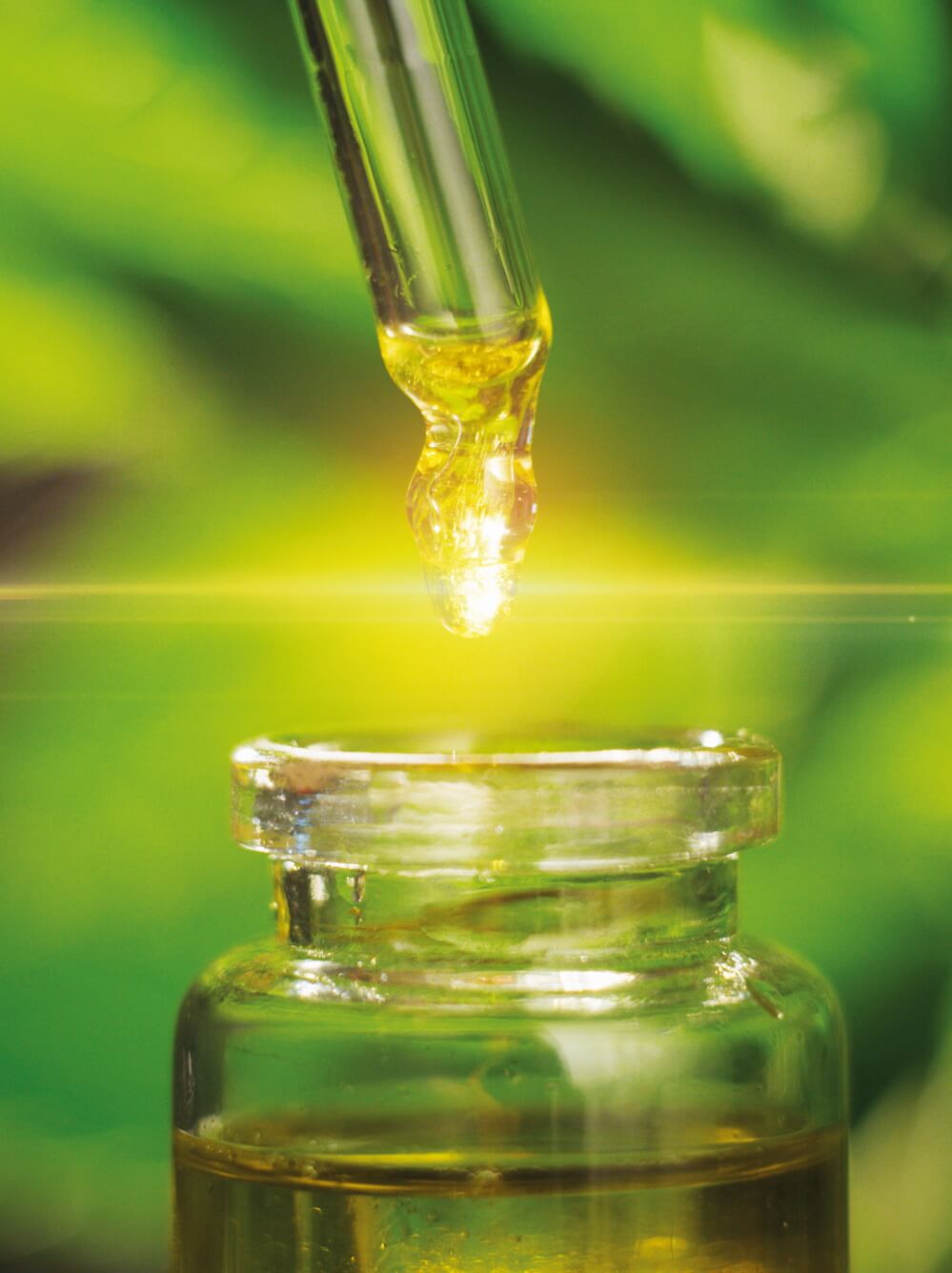 El cannabis ¿Elixir milagroso o aceite de serpiente? | El Mundo de Mañana