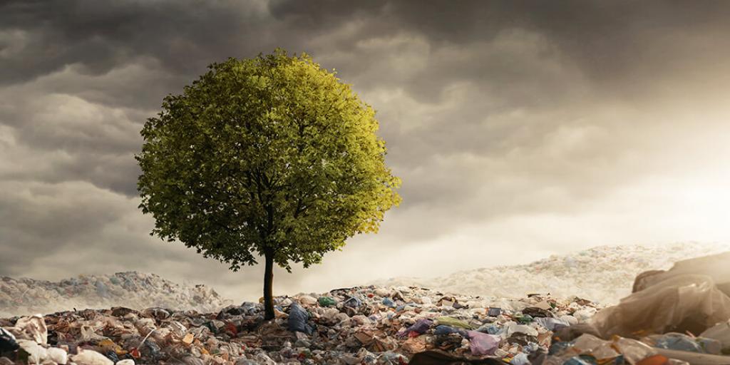 Cosas inútiles | El Mundo de Mañana