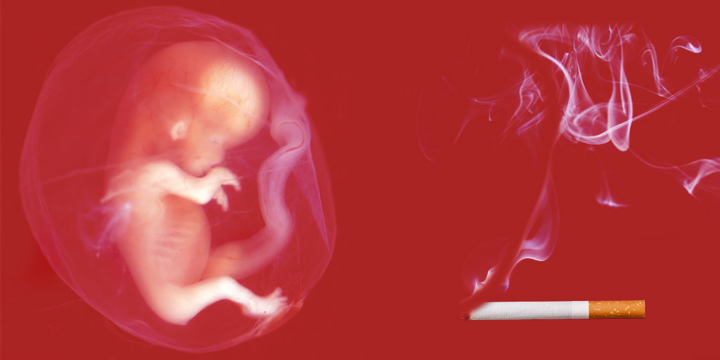 Fumar daña el hígado de los bebés por nacer | El Mundo de Mañana